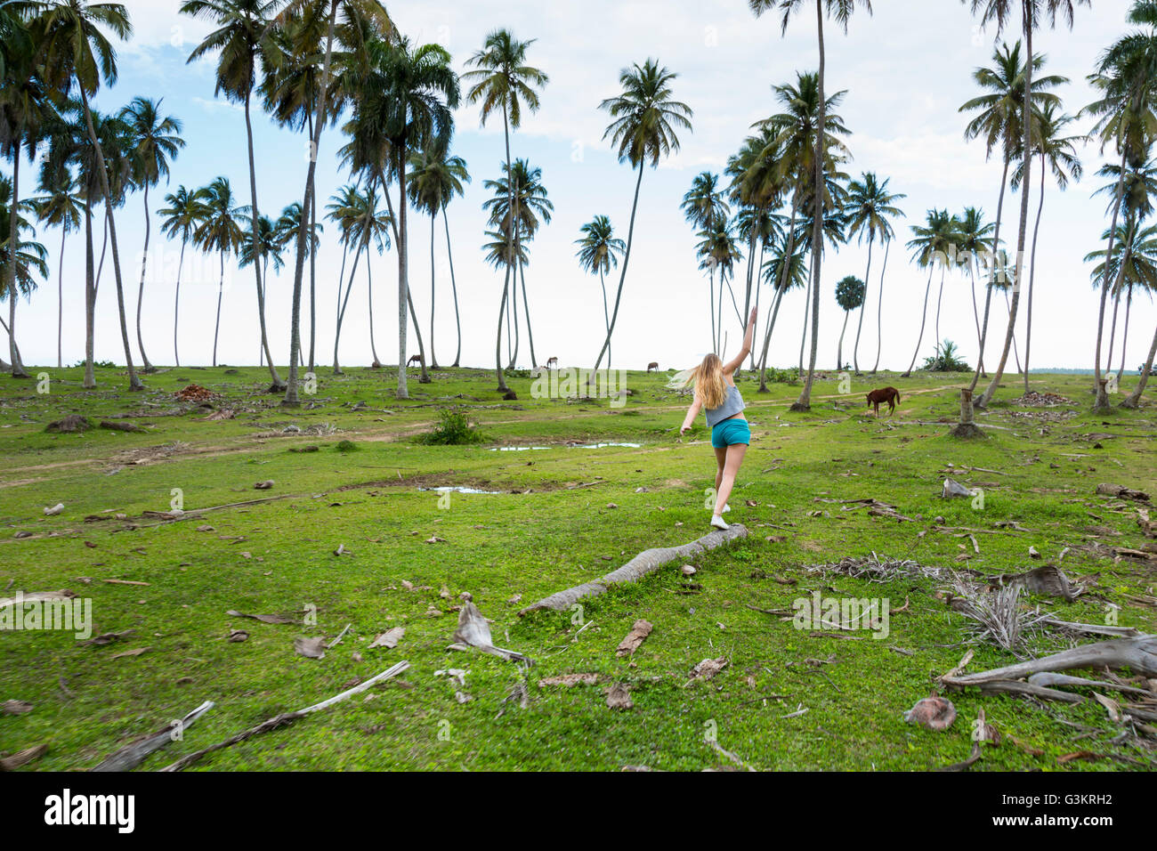 Young woman balancing on fallen tree trunk amongst palms, Dominican ...
