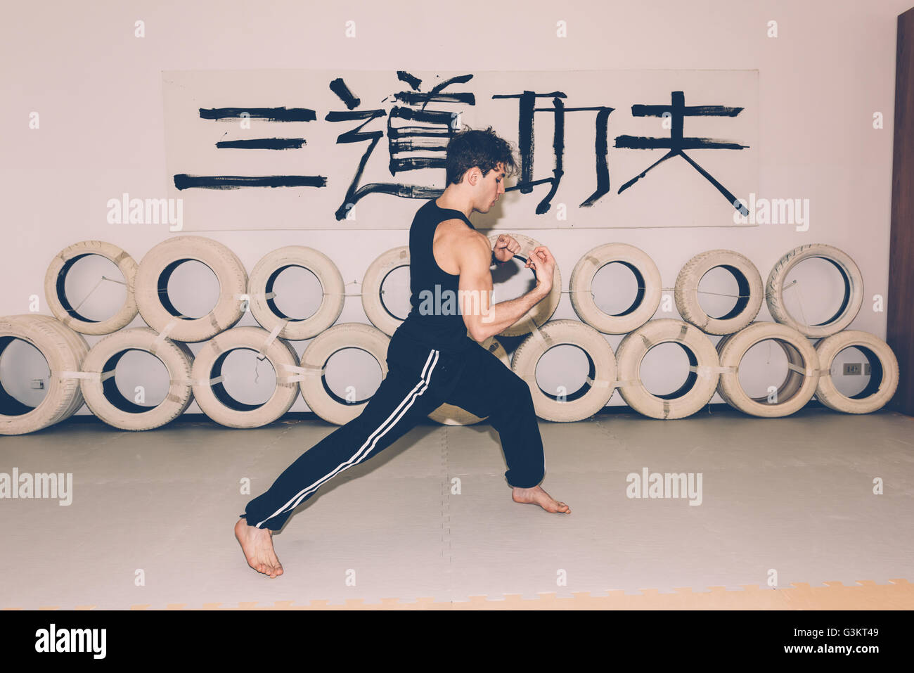 Man in martial arts stance Stock Photo - Alamy