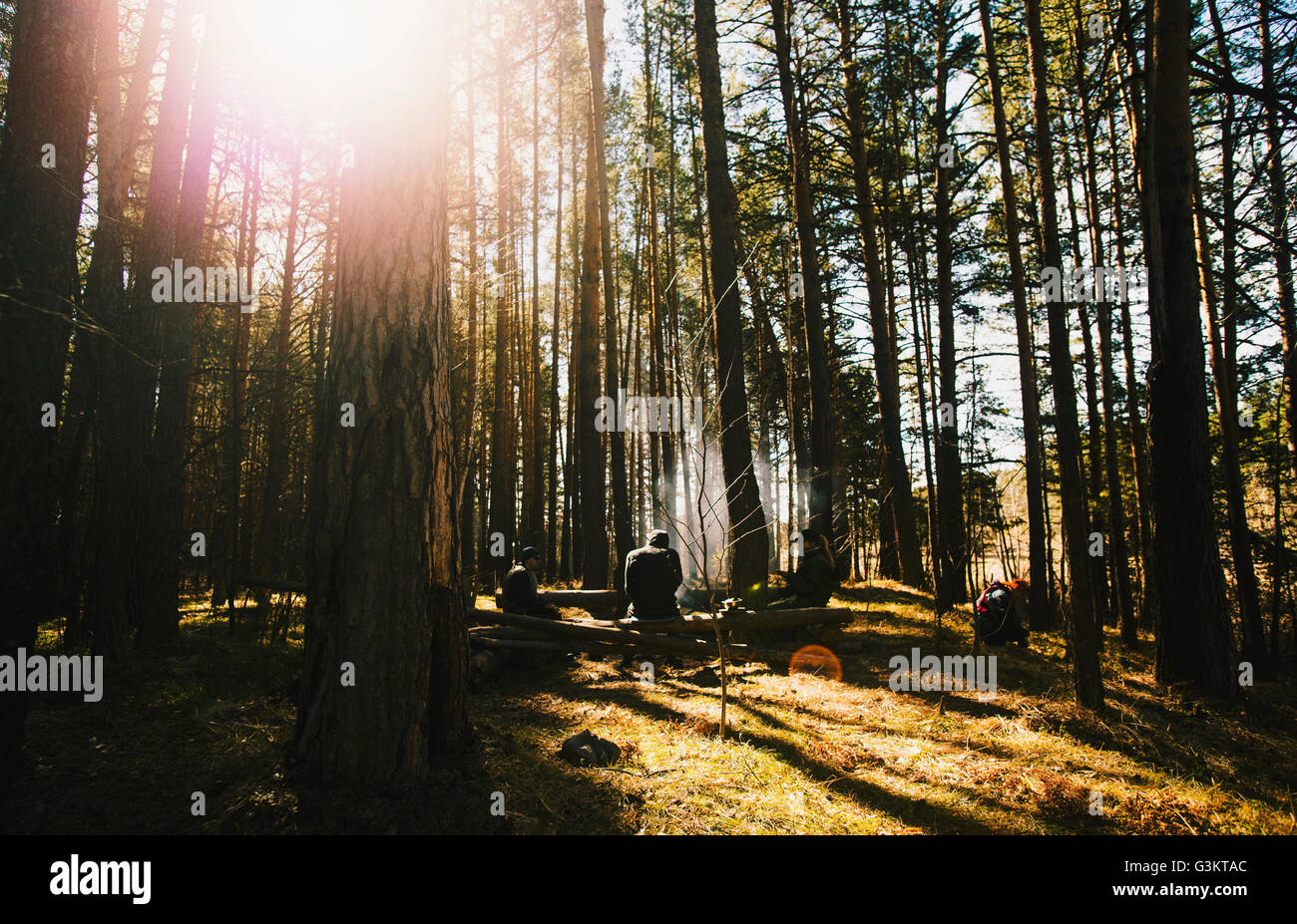 Friendship tree russia hi-res stock photography and images - Alamy