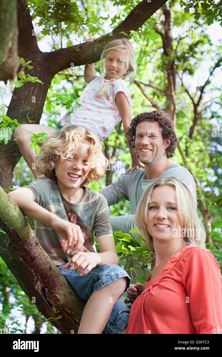 Family in forest climbing tree looking at camera smiling Stock Photo ...