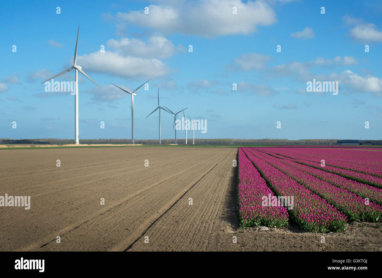 Turbines in a farming landscape hi-res stock photography and images - Alamy