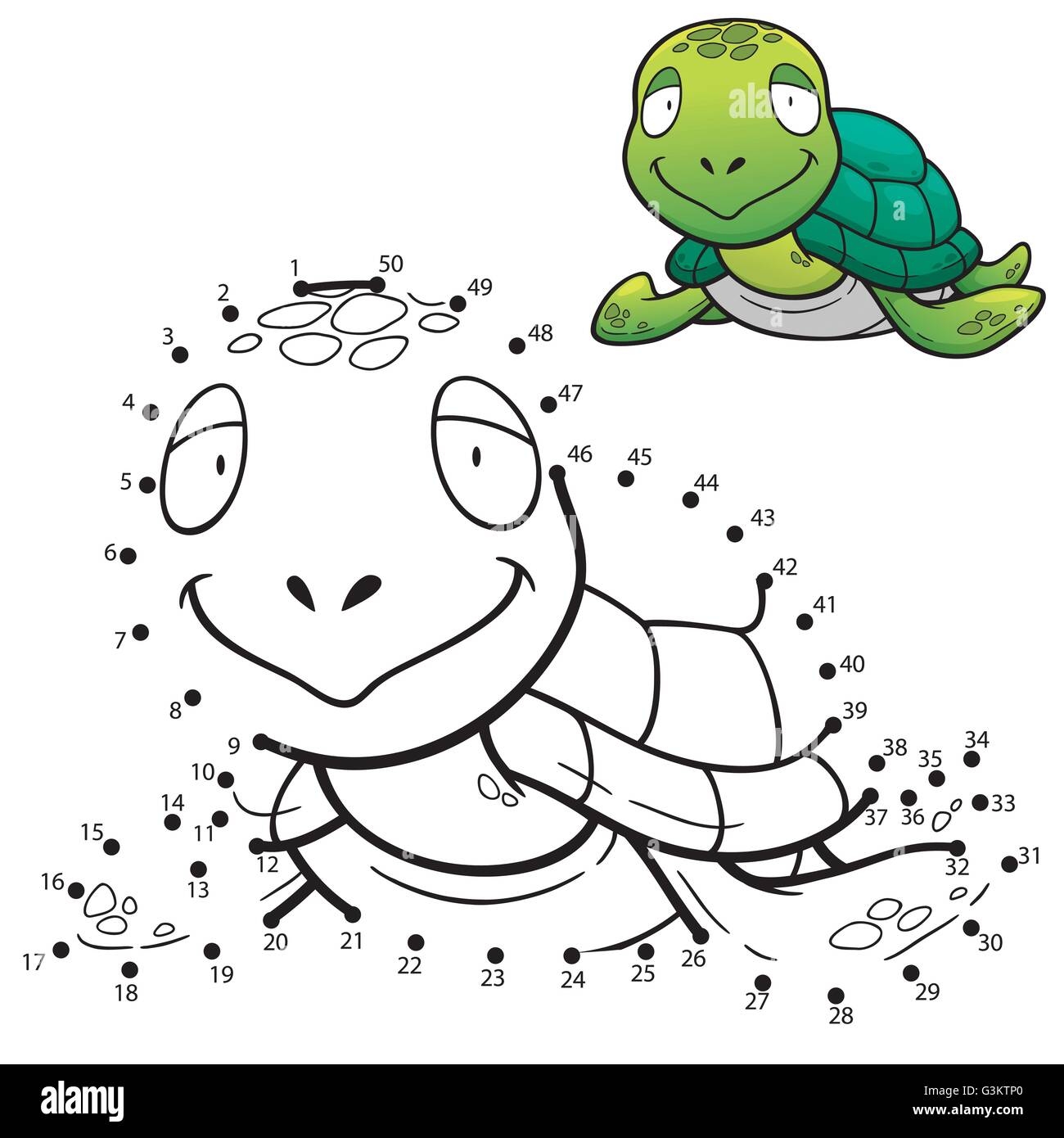 Vector Illustration of Education dot to dot game - Turtle Stock Vector ...