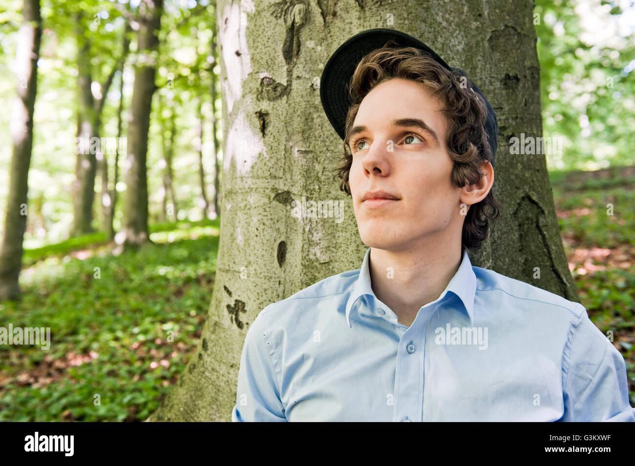 Sweden woods hi-res stock photography and images - Alamy