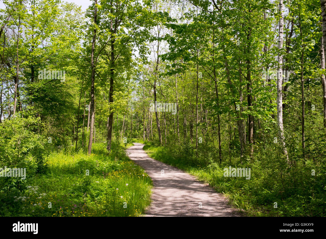 Hiking and bike trail, Isar floodplains, Lenggries, Isarwinkel, Upper ...