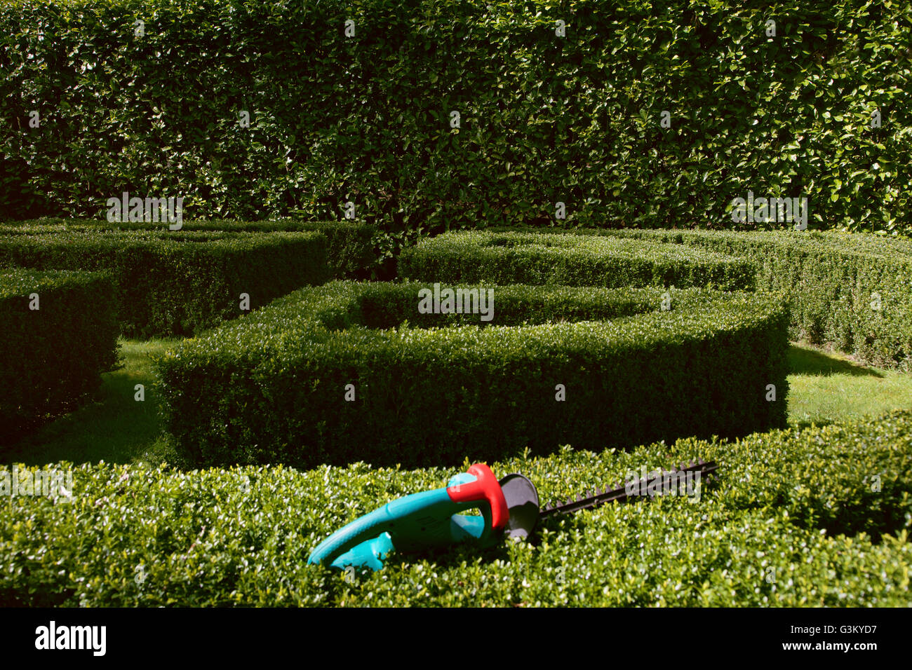 Boxwood maze hi-res stock photography and images - Alamy