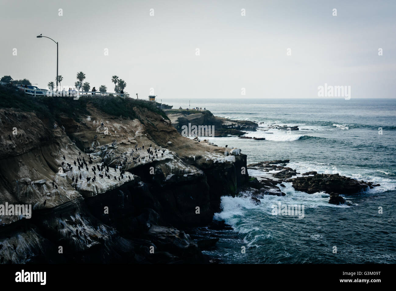 View of the rocky Pacific Coast in La Jolla, California Stock Photo - Alamy