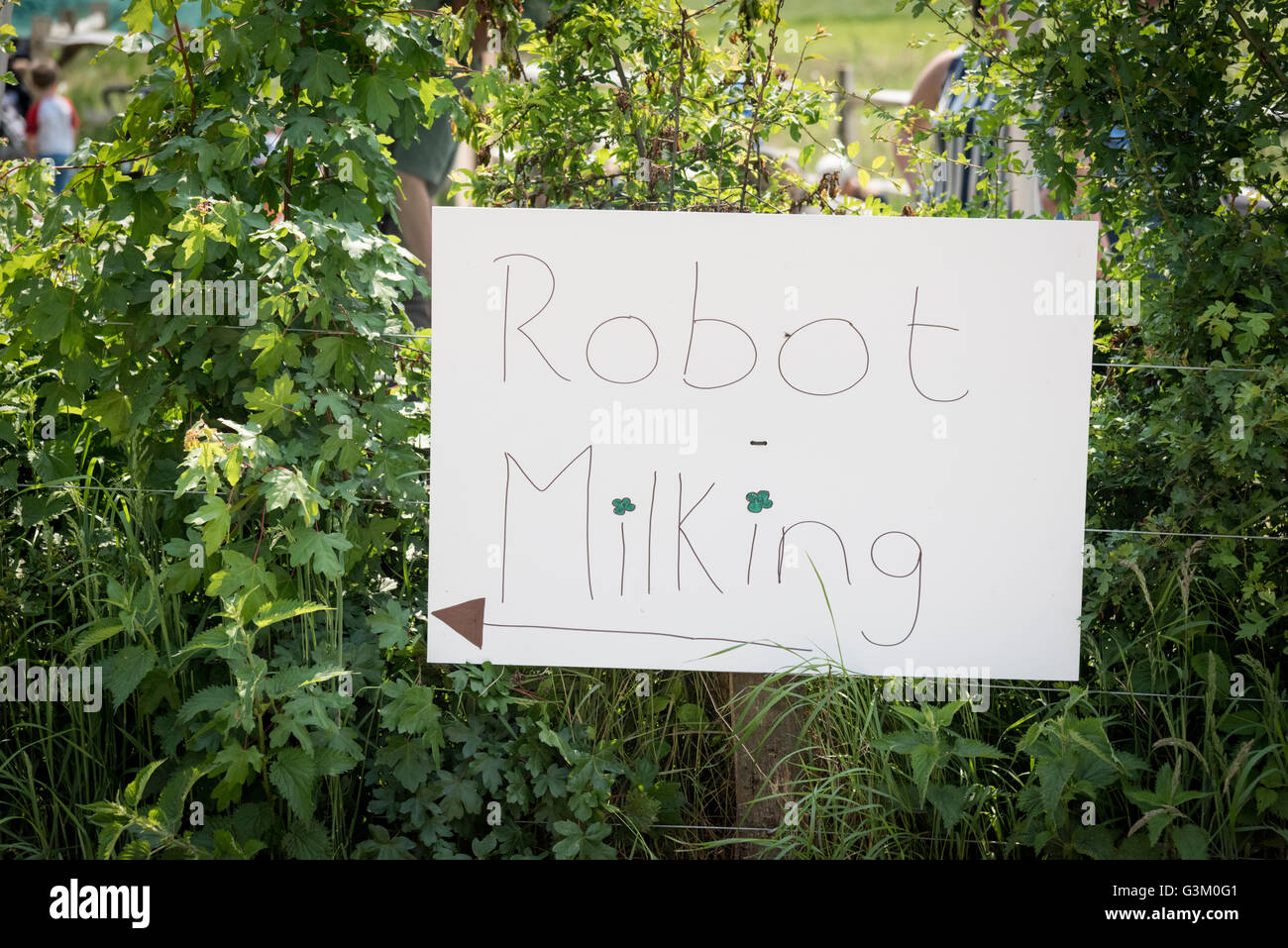A sign with directions to a robot milking demonstration UK Stock Photo ...