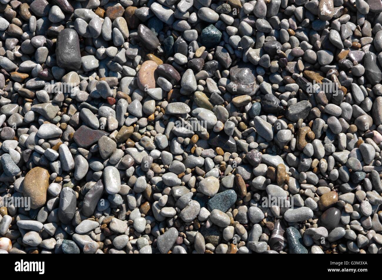 Pebbles on a beach Stock Photo - Alamy
