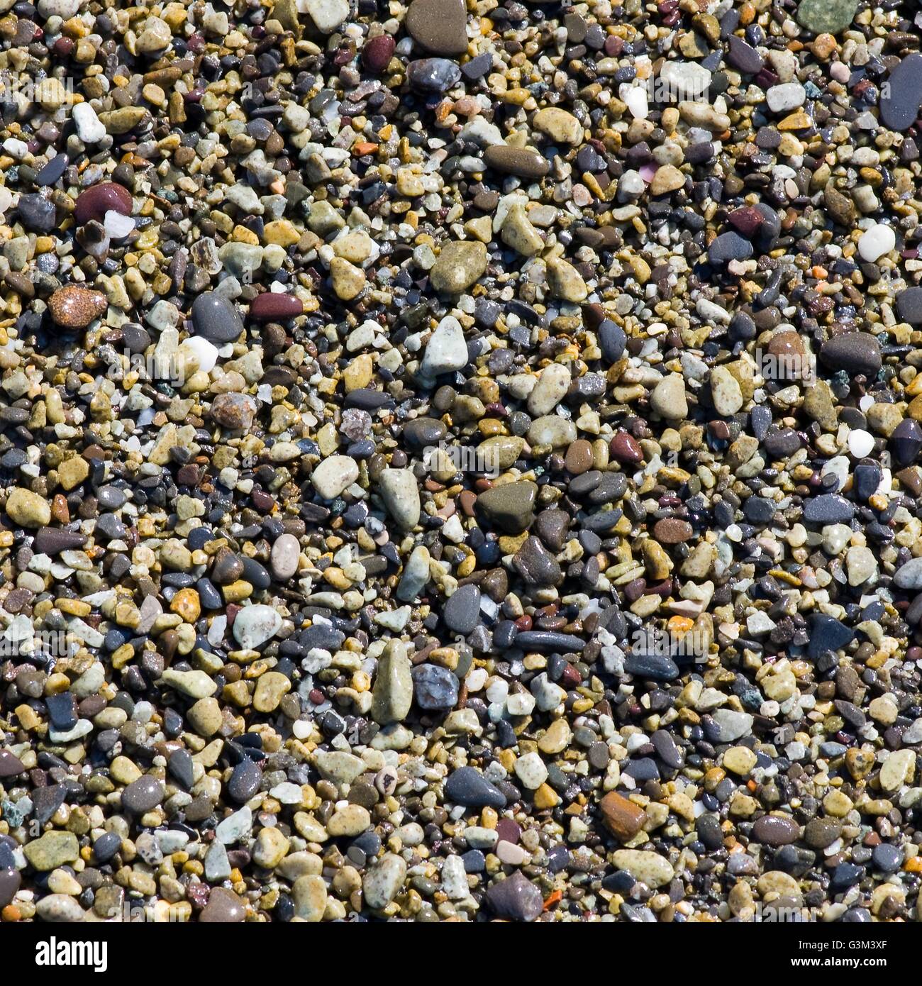 Multicolored pebbles. Close - up Stock Photo - Alamy
