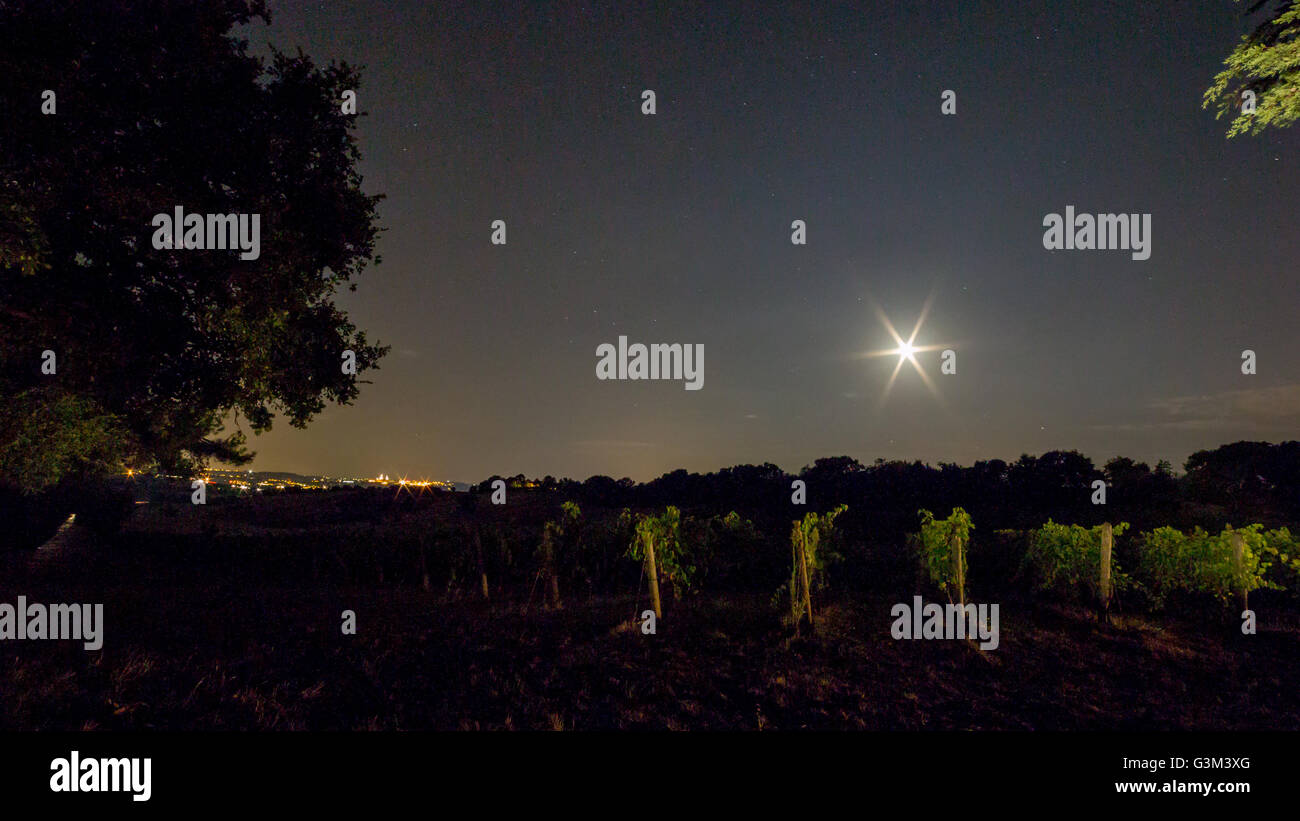 moon on the vineyard in the italian counstryside Stock Photo - Alamy