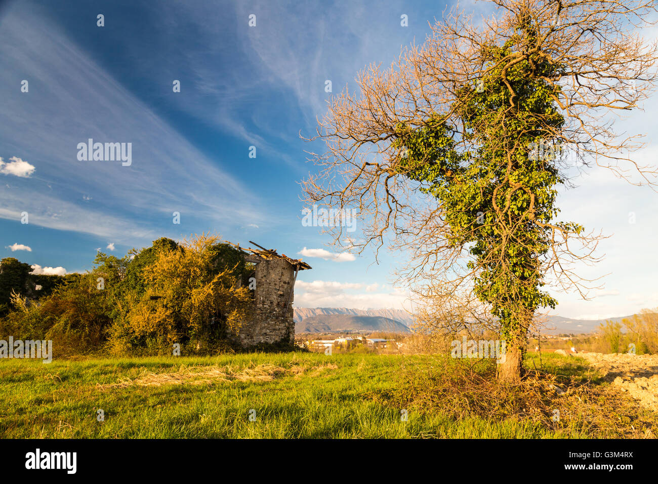 an abandoned and ruined farm in the fields of Italy Stock Photo - Alamy