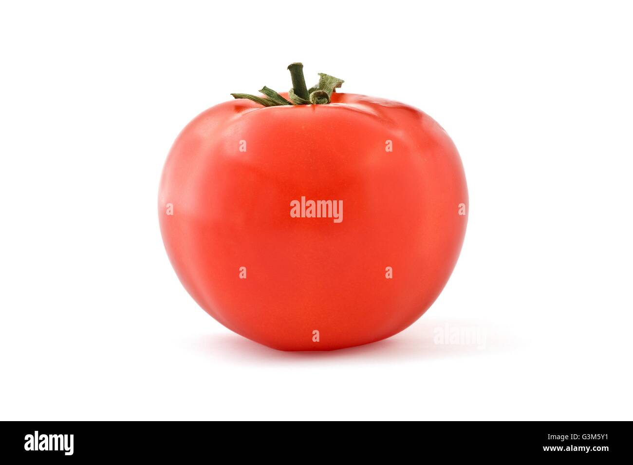 One red Tomato. Close-up. Isolated over white (with path Stock Photo ...