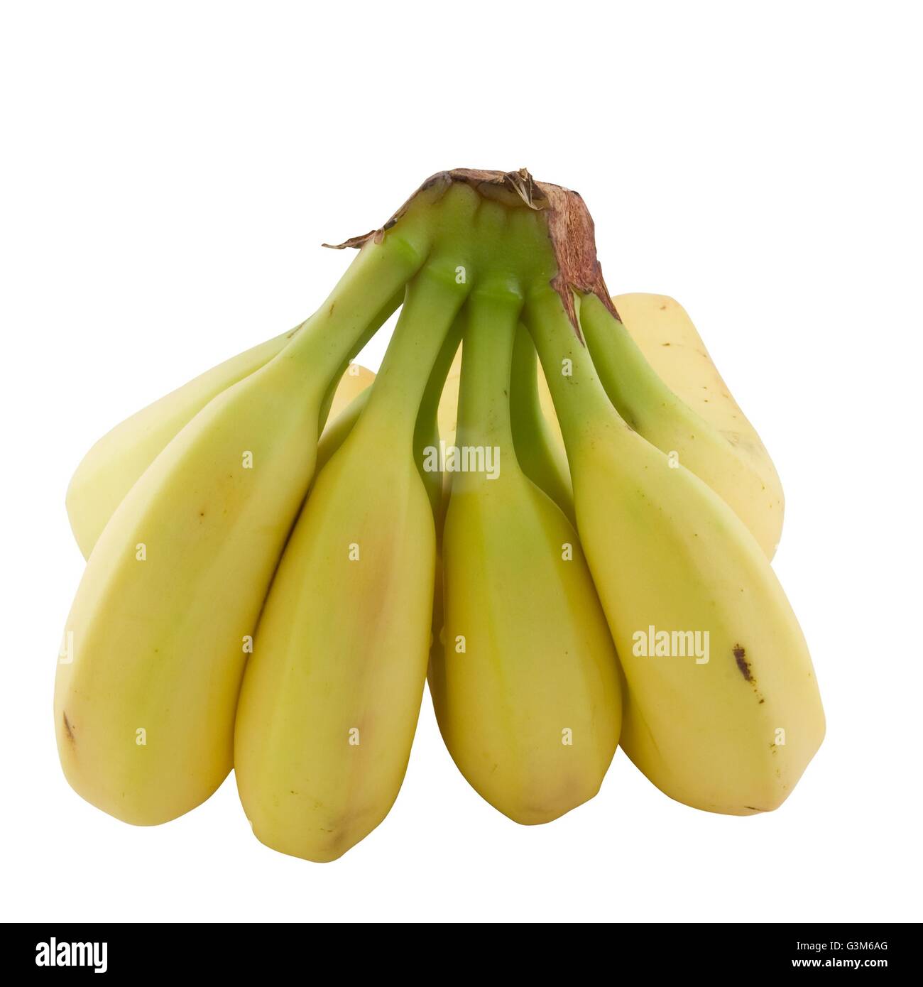 Banana cluster. Isolated over white Stock Photo - Alamy