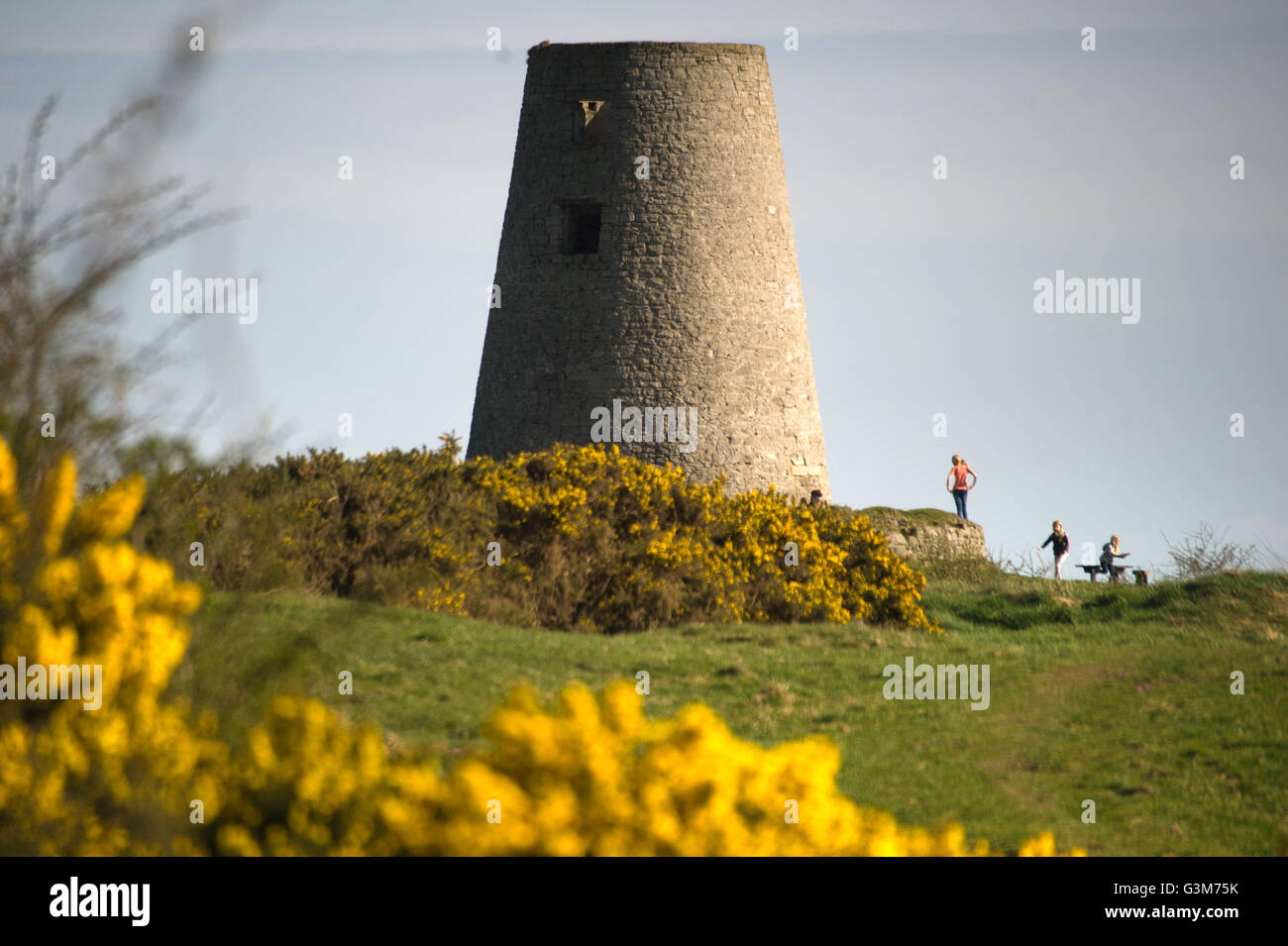 Cleadon Mill, South Tyneside Stock Photo - Alamy