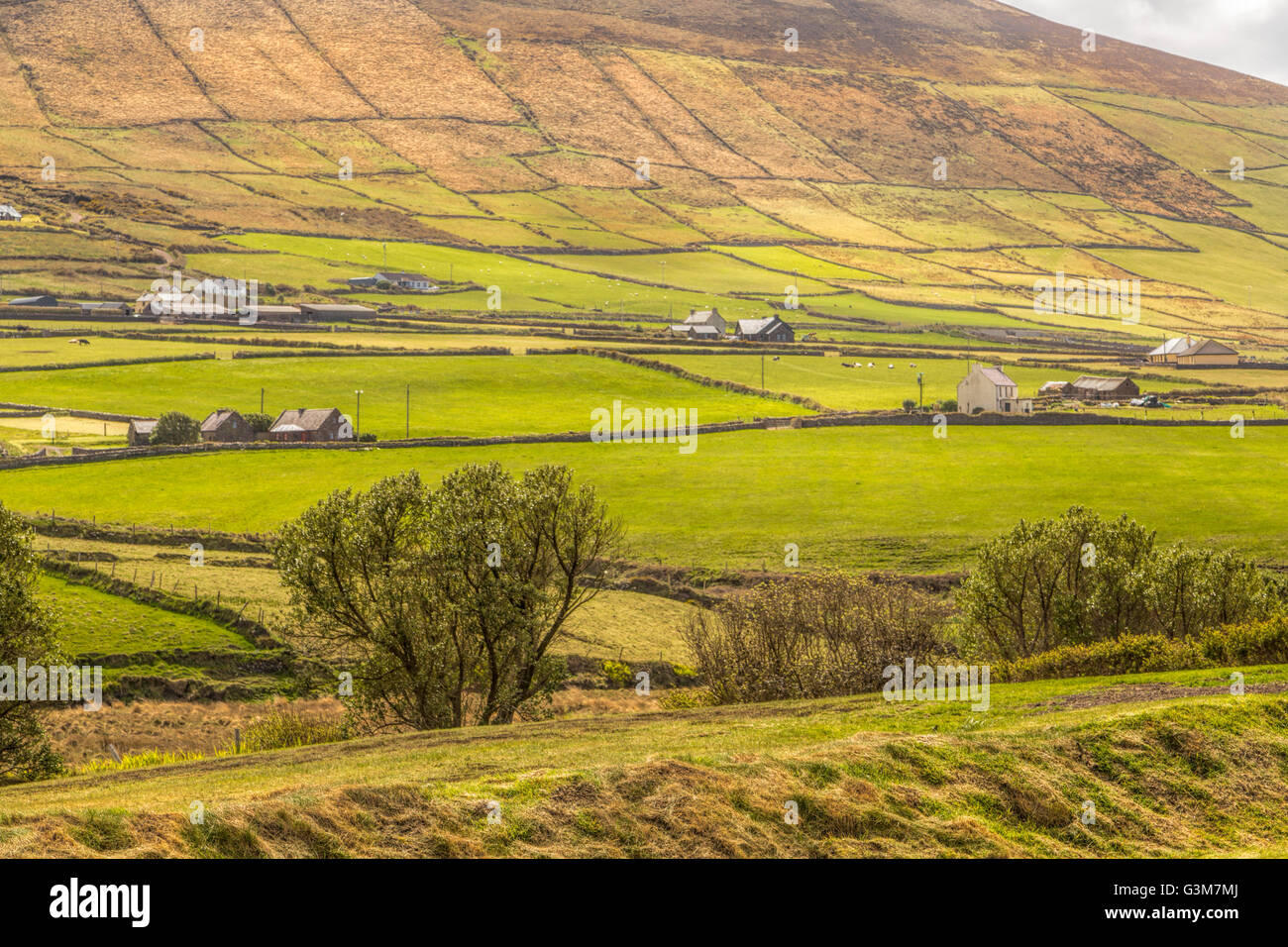 Patched landscape viewed from the Blasket Centre, Dunquin, Dingle ...