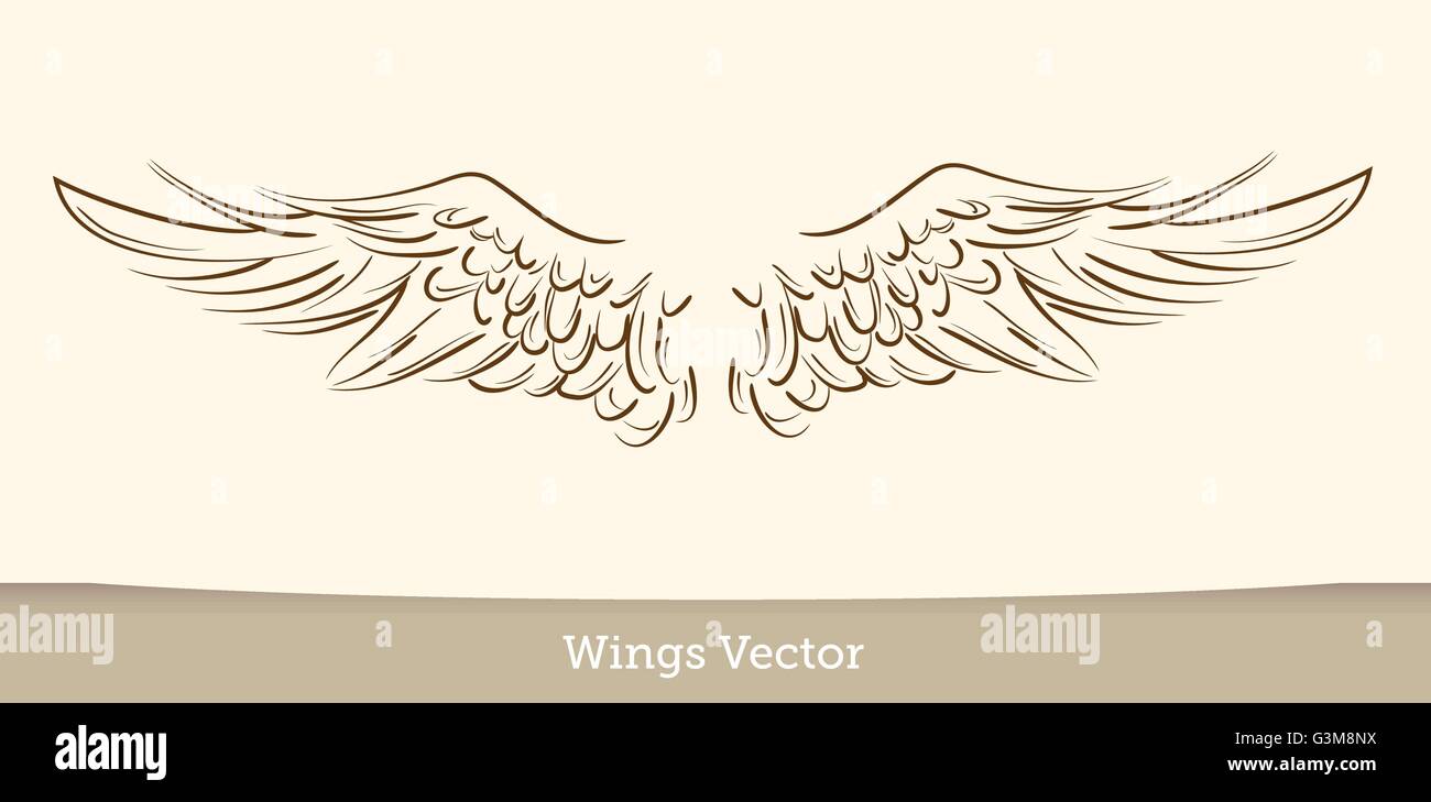 Sketch illustration of wings on white background. vector Stock Vector ...