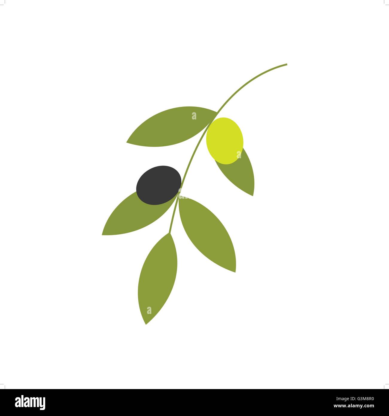Olive branch vector illustration isolated on white background Stock ...