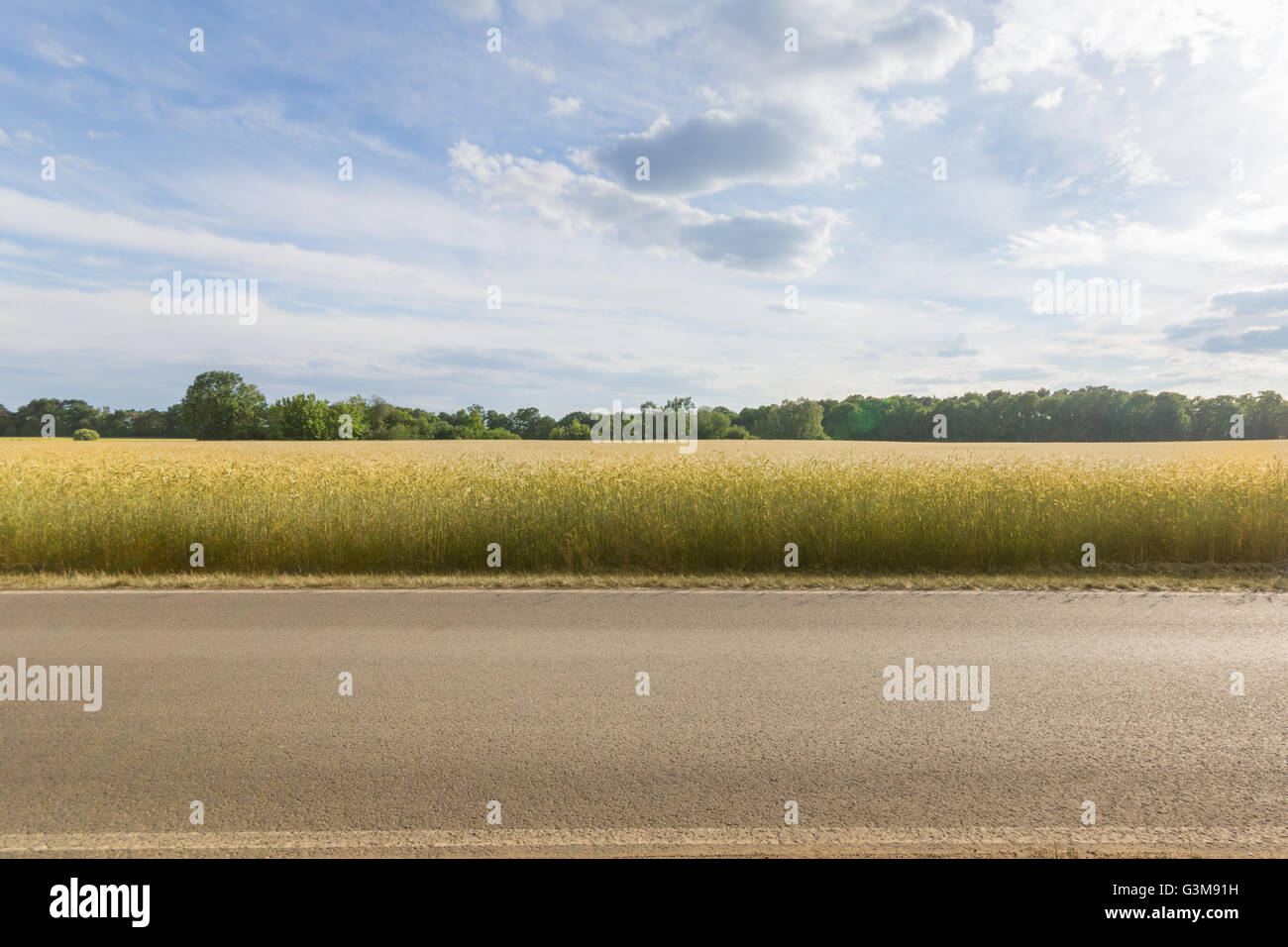 empty country road with wheat field background and blue sky Stock Photo ...