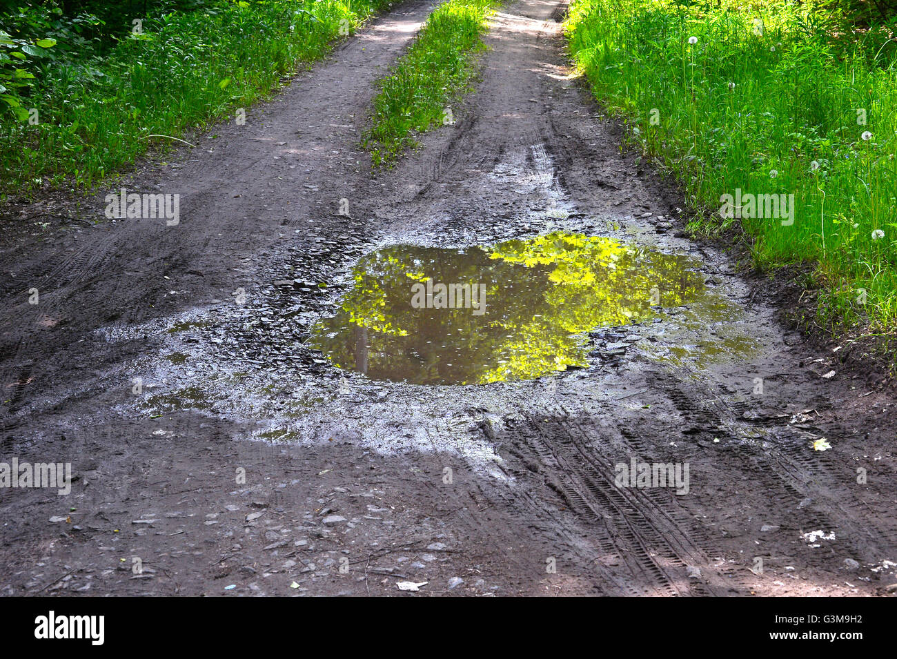 Texture mud wet dirt puddle hi-res stock photography and images - Alamy