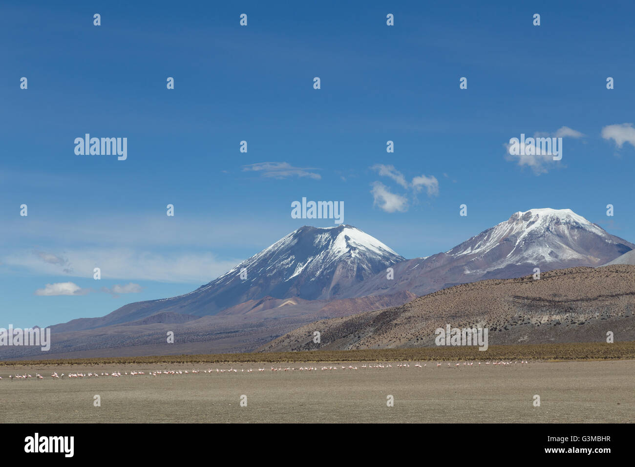 Volcanoes in Sajama National Park in Bolivia Stock Photo - Alamy