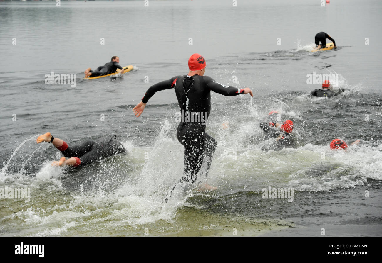 Chasewater country park hi-res stock photography and images - Alamy