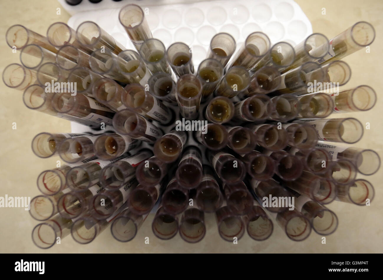 Community cohesion hi-res stock photography and images - Alamy