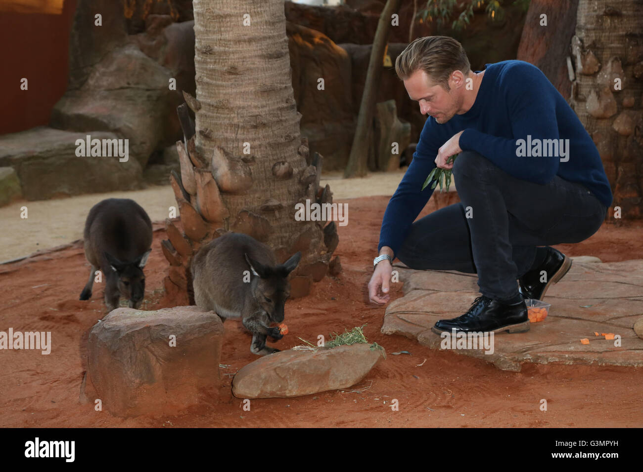 Sydney, Australia. 14th June, 2016. The Legend of Tarzan actor ...