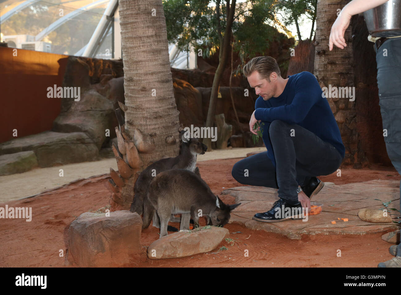 Sydney, Australia. 14th June, 2016. The Legend of Tarzan actor ...