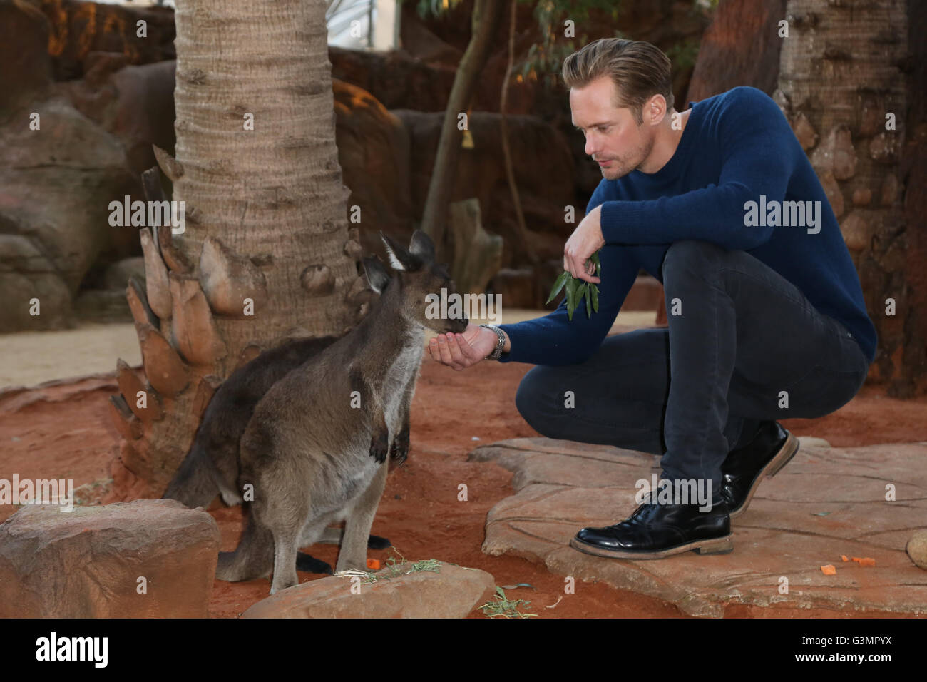Sydney, Australia. 14th June, 2016. The Legend of Tarzan actor ...