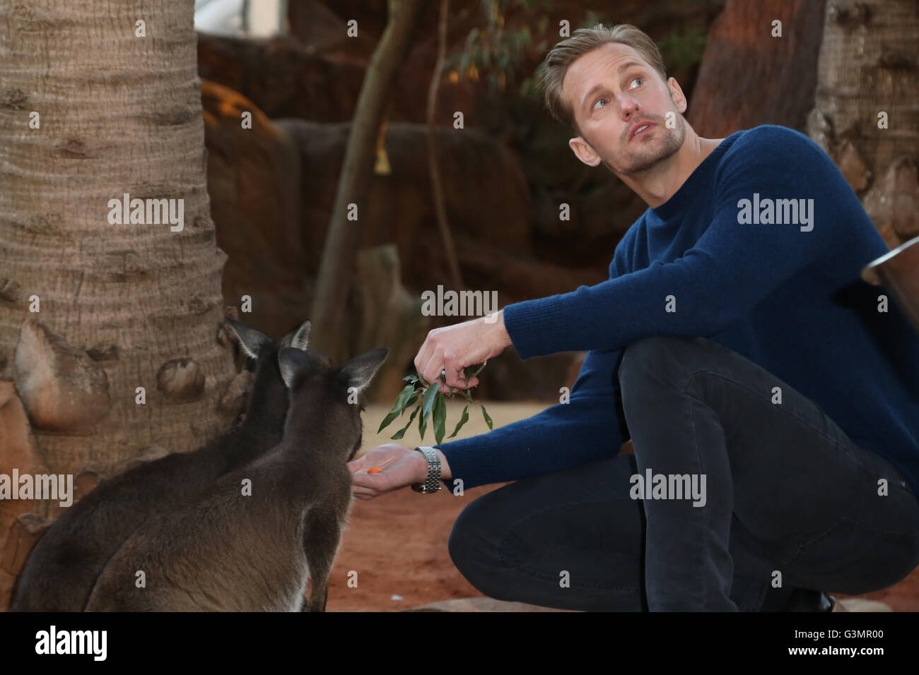 Sydney, Australia. 14th June, 2016. The Legend of Tarzan actor ...