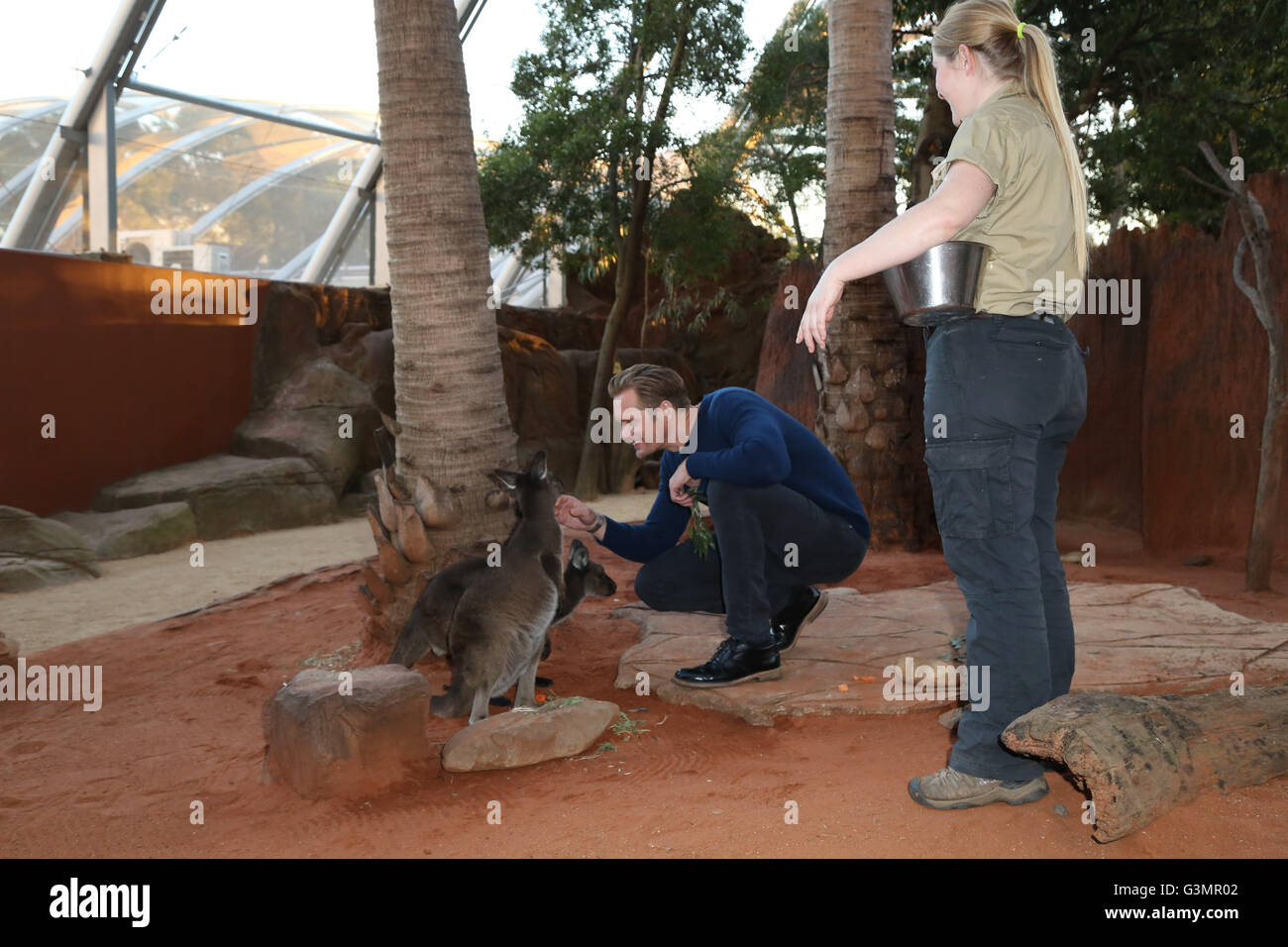 Sydney, Australia. 14th June, 2016. The Legend of Tarzan actor ...