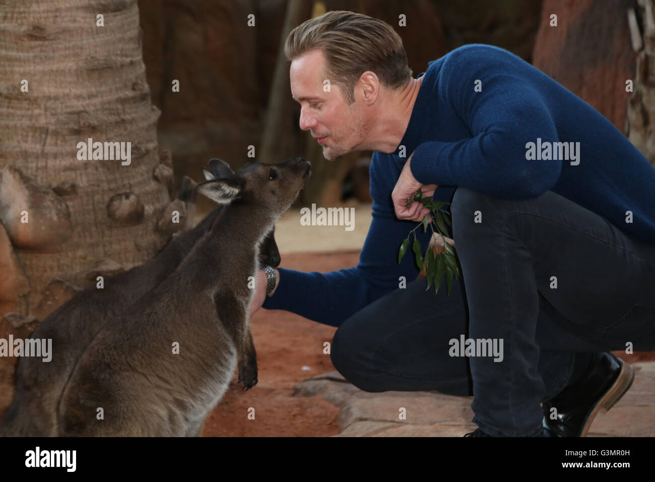 Sydney, Australia. 14th June, 2016. The Legend of Tarzan actor ...