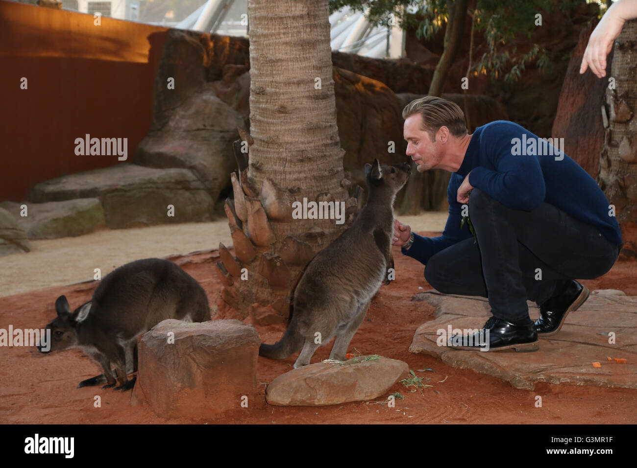 Sydney, Australia. 14th June, 2016. The Legend of Tarzan actor ...