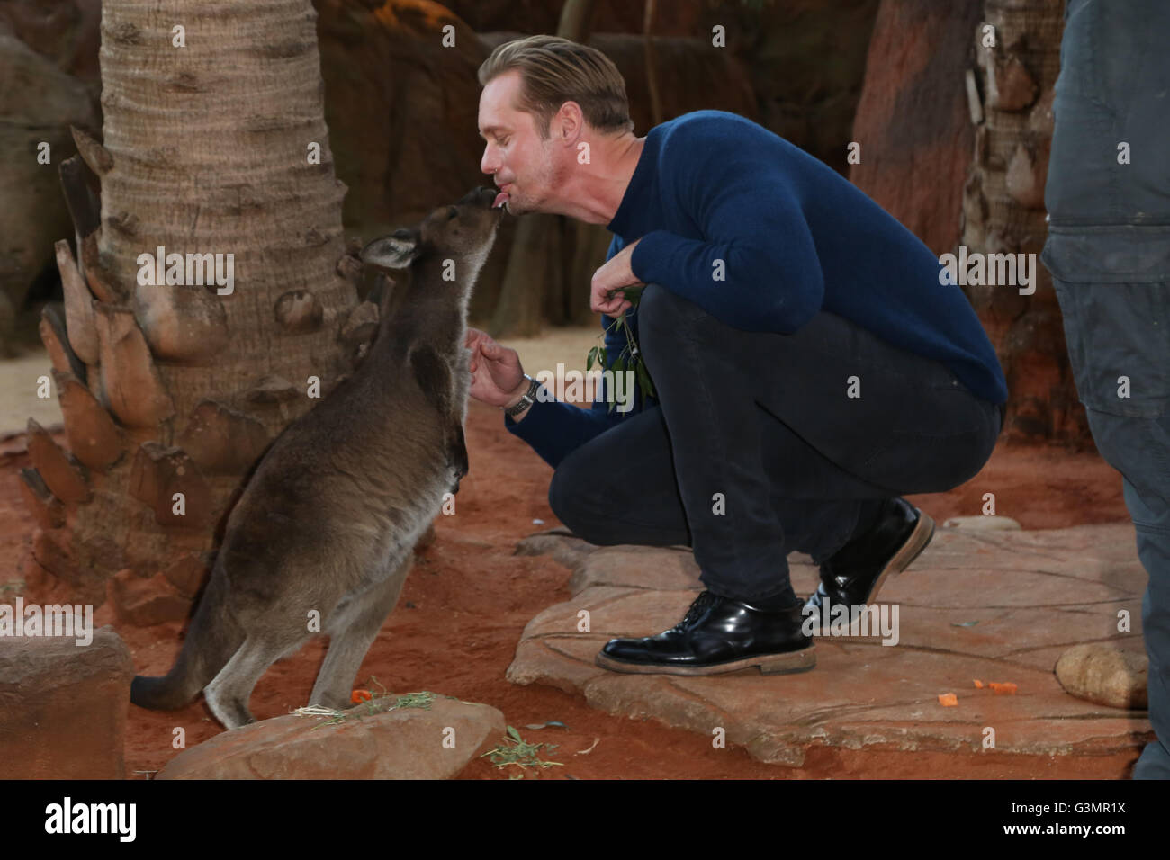 Sydney, Australia. 14th June, 2016. The Legend of Tarzan actor ...