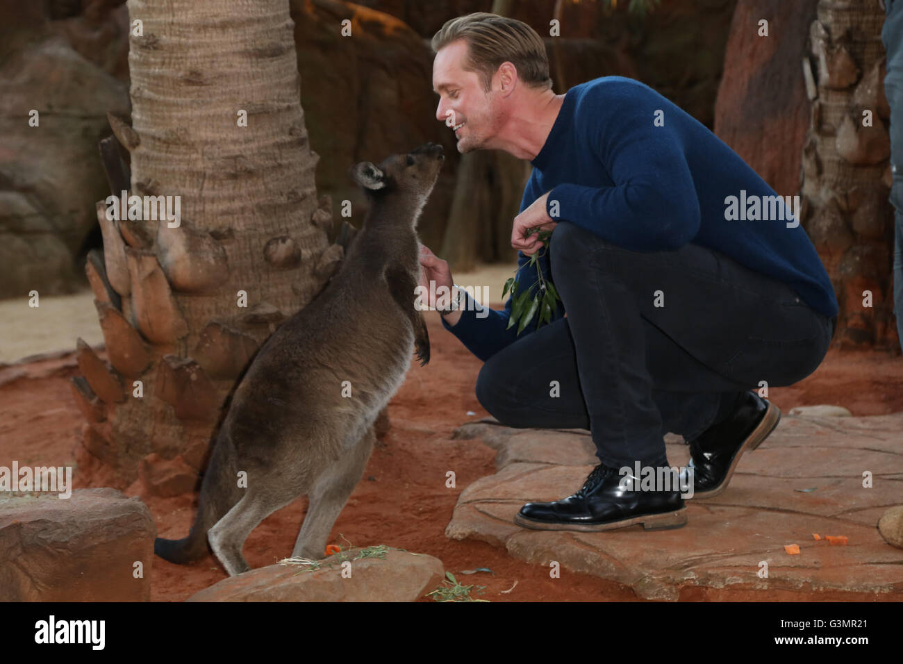 Sydney, Australia. 14th June, 2016. The Legend of Tarzan actor ...