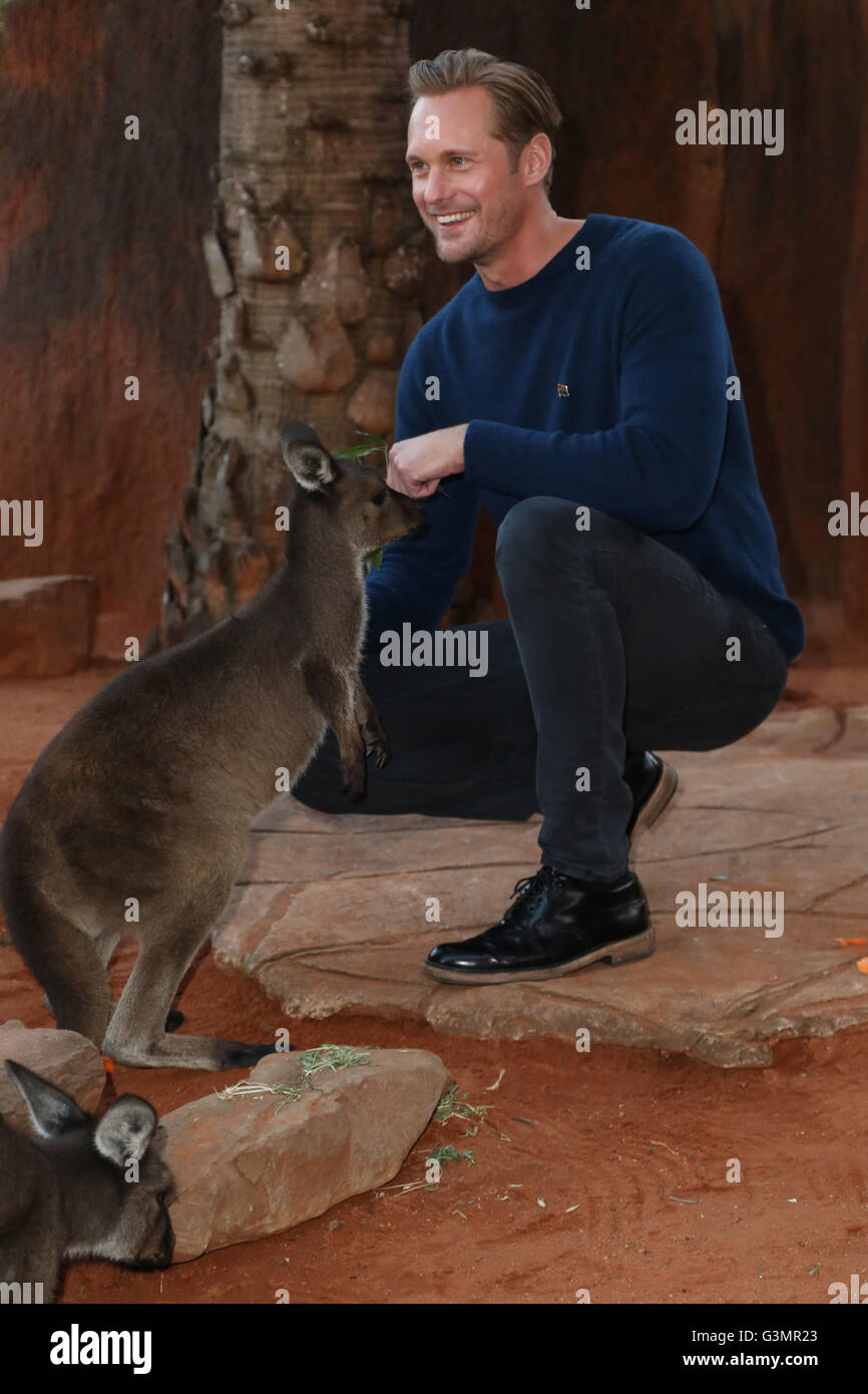 Plays tarzan hi-res stock photography and images - Alamy