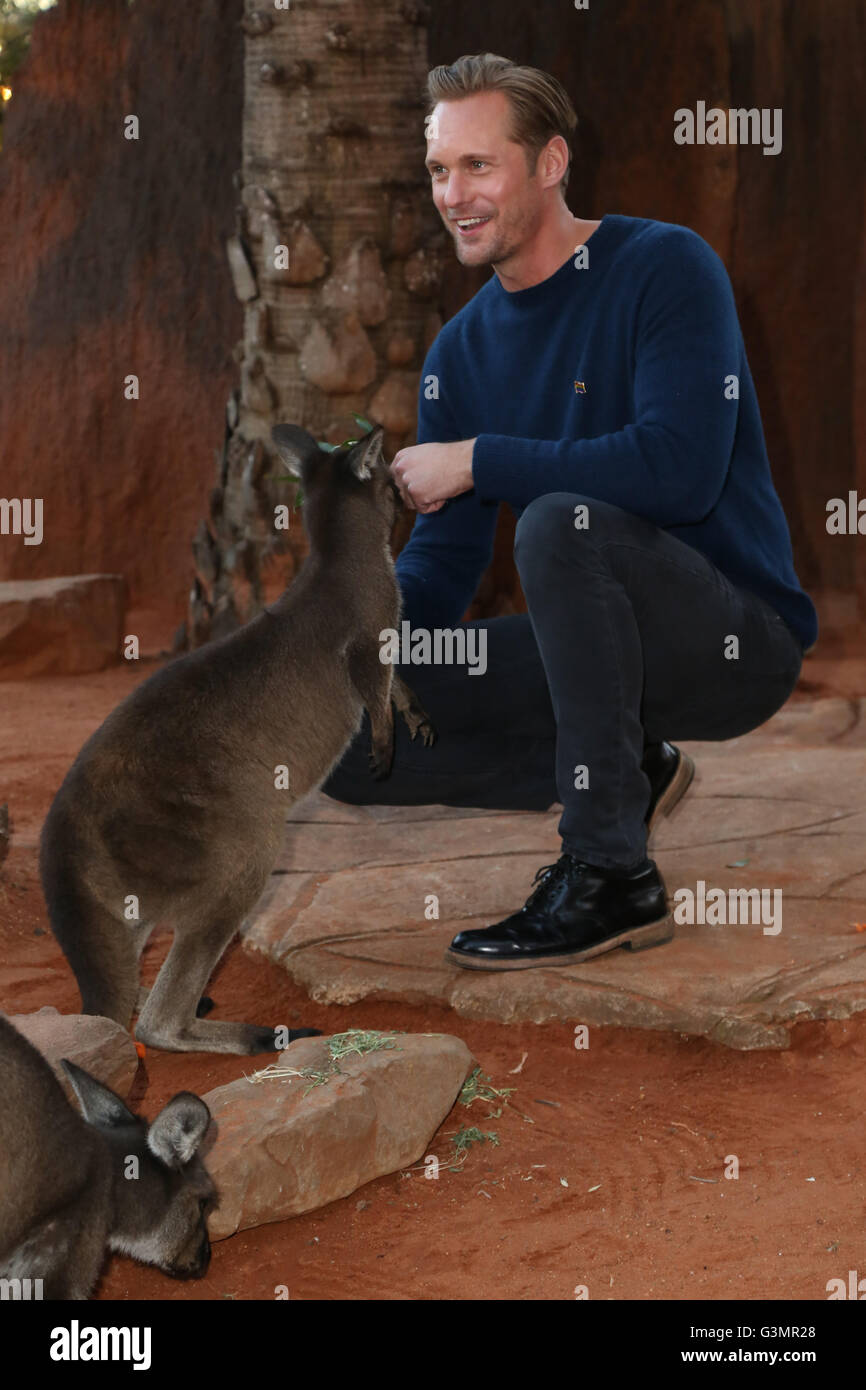 Sydney, Australia. 14th June, 2016. The Legend of Tarzan actor ...