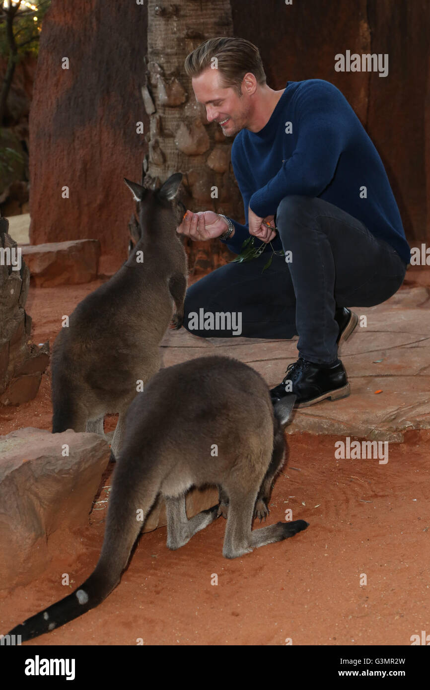 Sydney, Australia. 14th June, 2016. The Legend of Tarzan actor ...