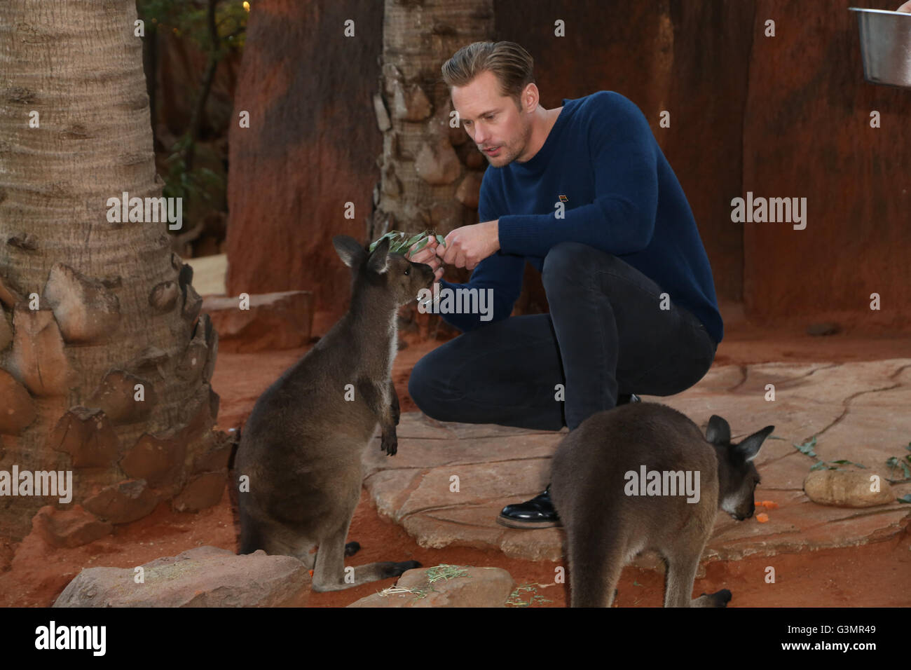 Sydney, Australia. 14th June, 2016. The Legend of Tarzan actor ...