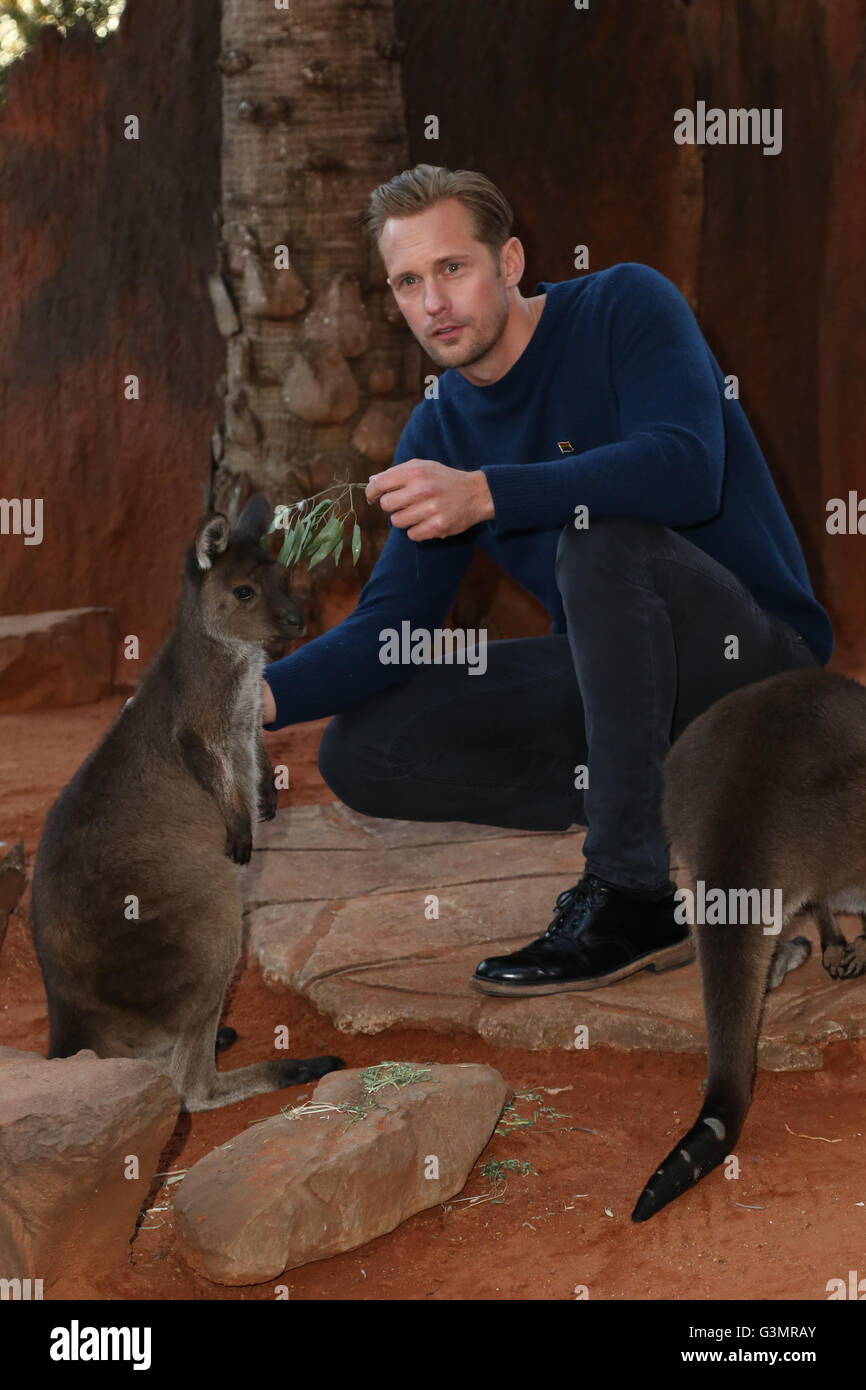 Sydney, Australia. 14th June, 2016. The Legend of Tarzan actor ...
