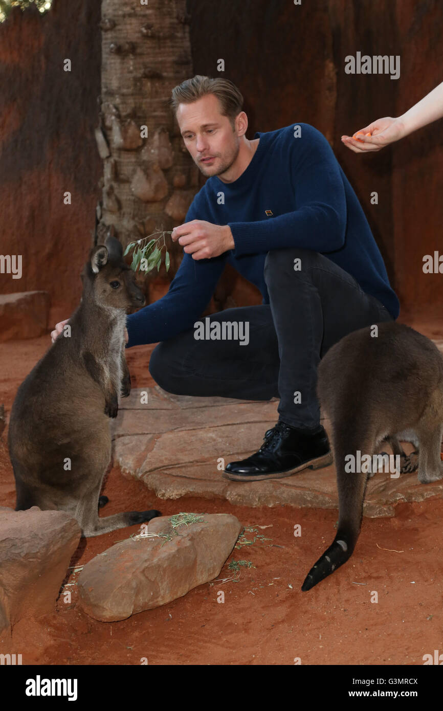 Sydney, Australia. 14th June, 2016. The Legend of Tarzan actor ...