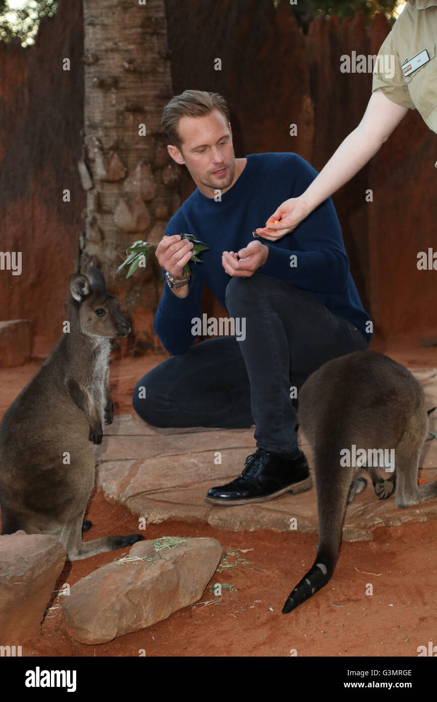 Sydney, Australia. 14th June, 2016. The Legend of Tarzan actor ...