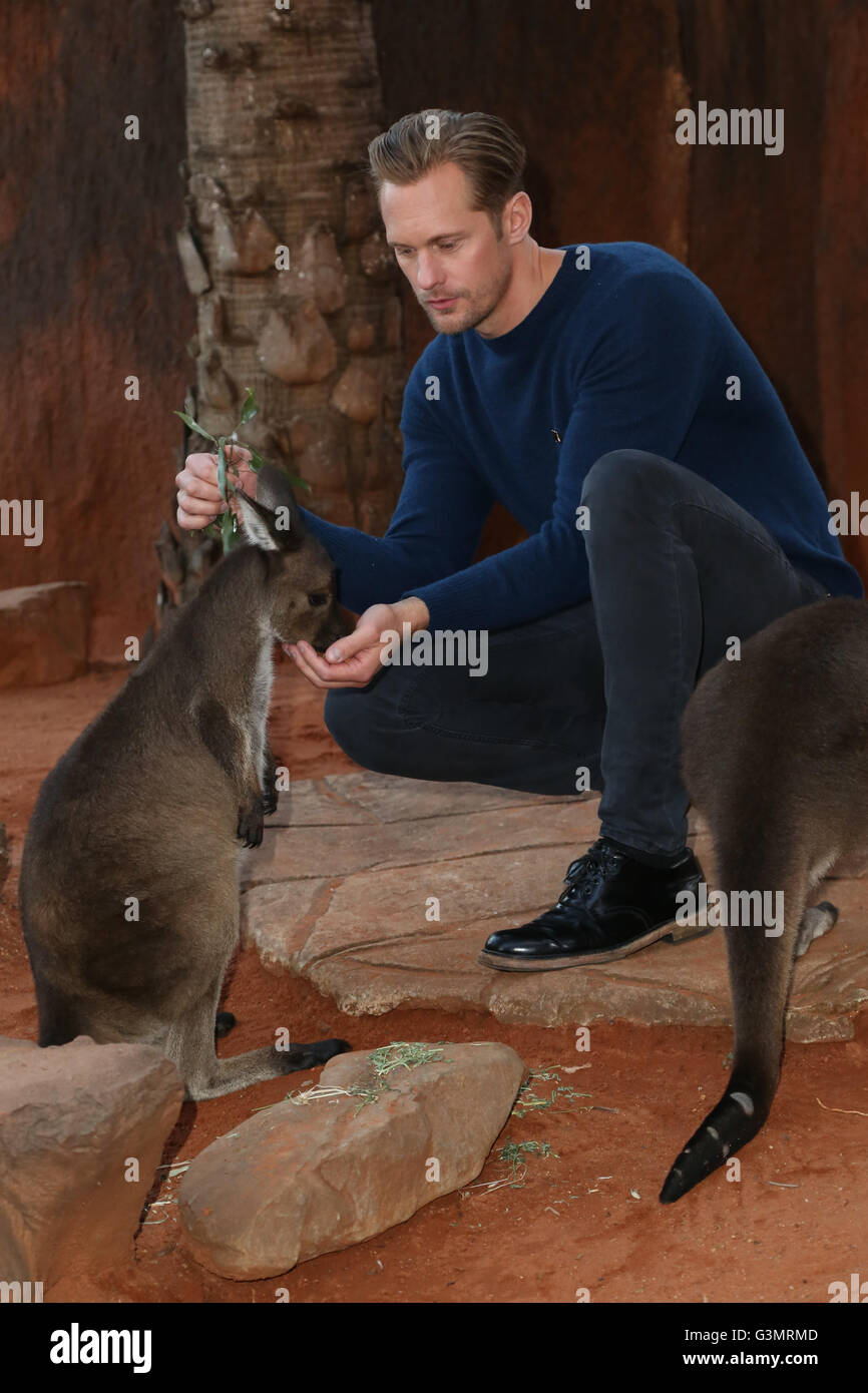 Sydney, Australia. 14th June, 2016. The Legend of Tarzan actor ...