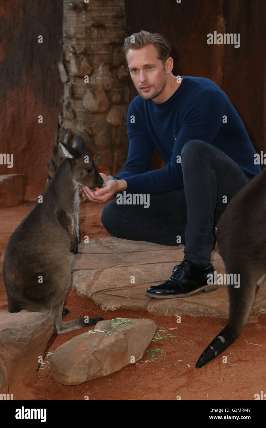 Sydney, Australia. 14th June, 2016. The Legend of Tarzan actor ...