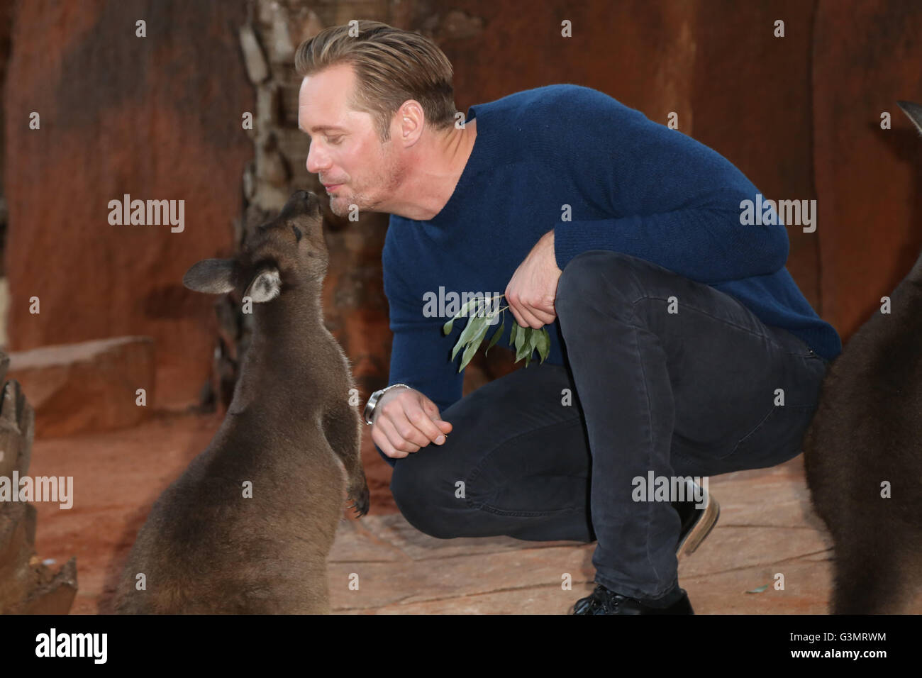 Sydney, Australia. 14th June, 2016. The Legend of Tarzan actor ...