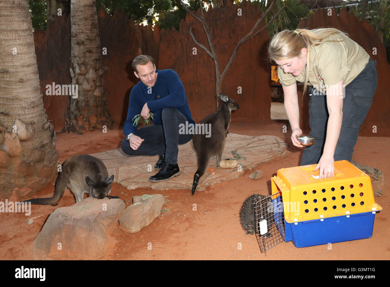 Sydney, Australia. 14th June, 2016. The Legend of Tarzan actor ...