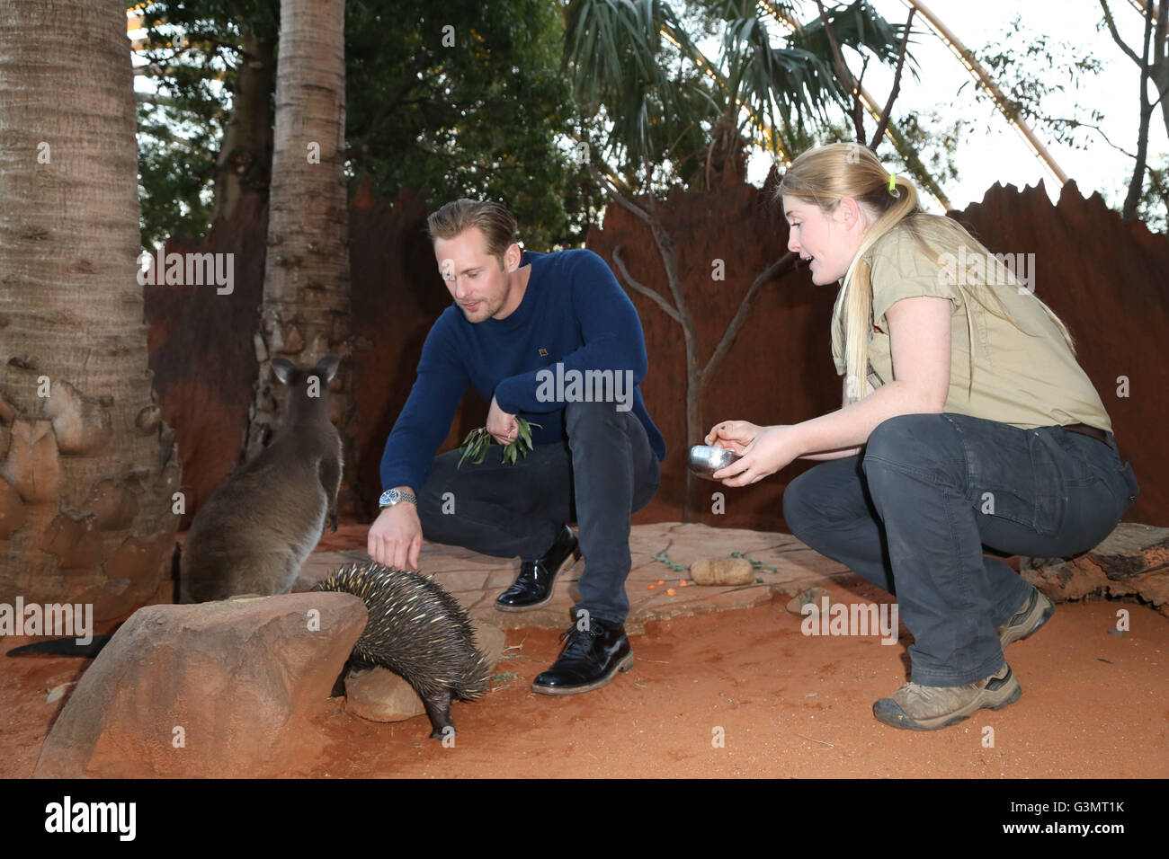Sydney, Australia. 14th June, 2016. The Legend of Tarzan actor ...