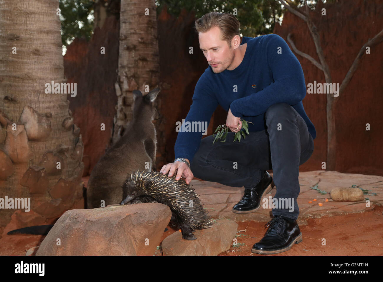 Sydney, Australia. 14th June, 2016. The Legend of Tarzan actor ...