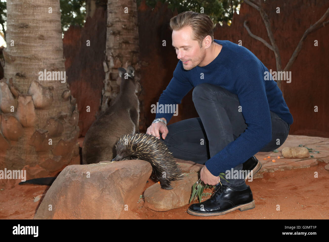 Sydney, Australia. 14th June, 2016. The Legend of Tarzan actor ...