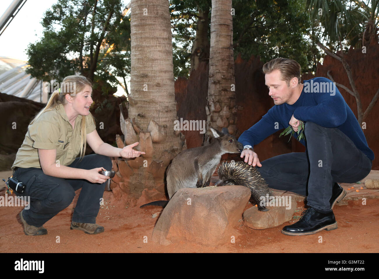 Sydney, Australia. 14th June, 2016. The Legend of Tarzan actor ...
